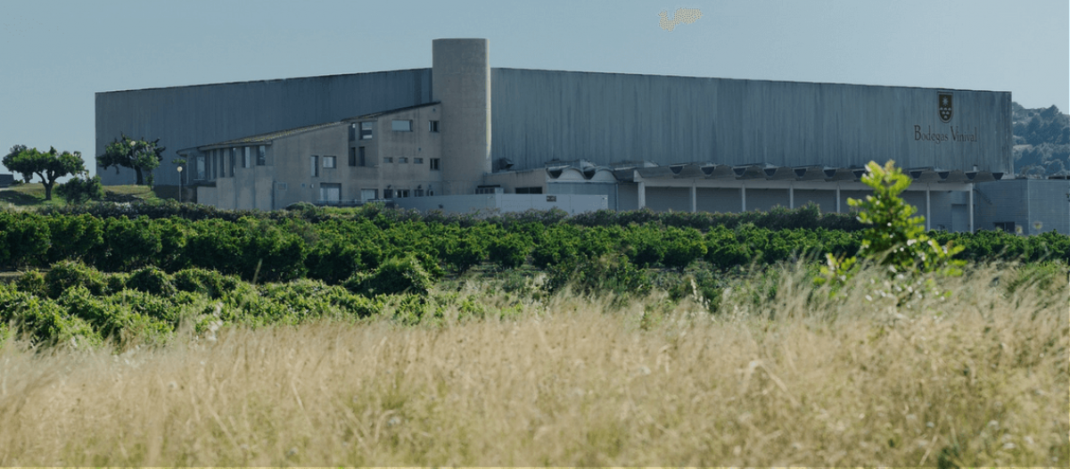 BODEGAS VINIVAL: Producing Conventional & Organic Wines